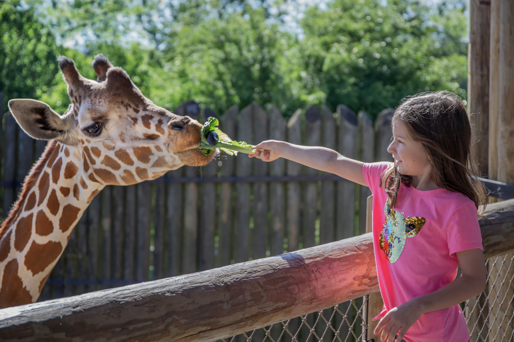 AMONG GIANTS – Tyler Today