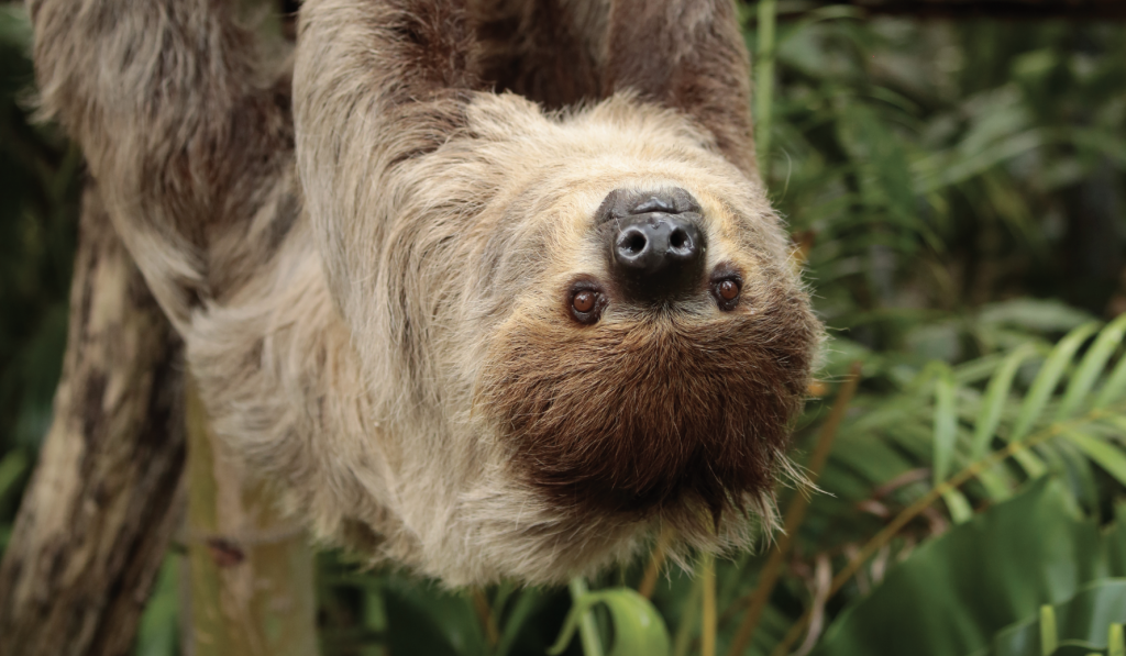 It’s Going to be Beautifully Wild – Tyler Today